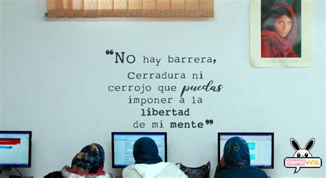 Vinilos Decorativos Con Frases Que Educan En Igualdad De Género
