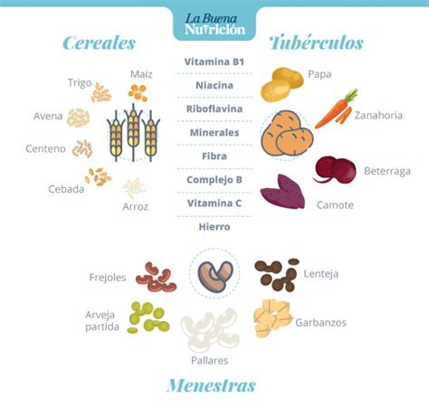 Importancia De Los Cereales La Buena Nutrición
