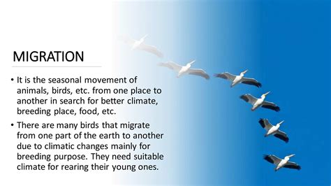 Chapter 7 Conservation Of Plants And Animals Science Class 8 Ppt