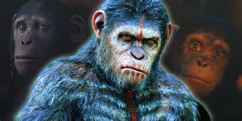 Caesar Son Daggry Av Planeten Til Apene Is Caesar In Kingdom Of The