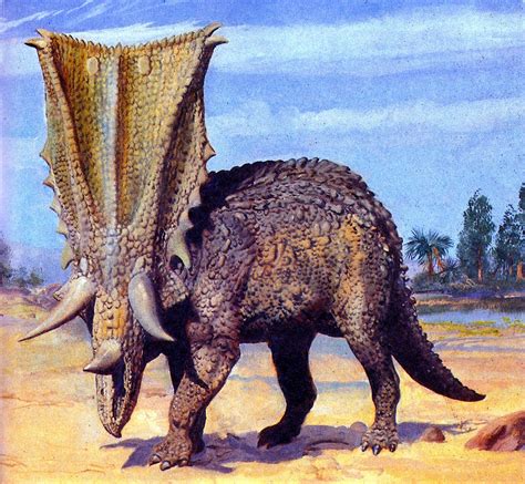 Chasmosaurus Dinozaur Dinozaury Illustration
