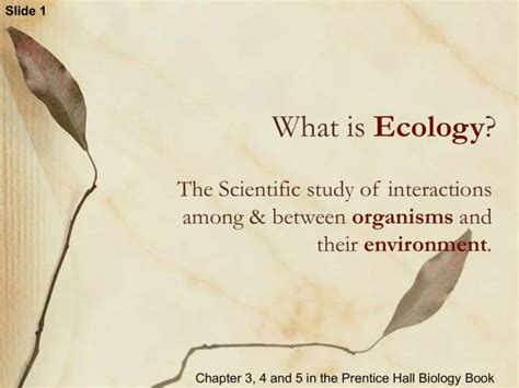 Basic Ecology