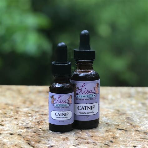 Catnip Herbal Tincture — Lisas Remedies