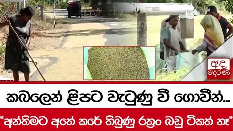 කබලෙන් ළිපට වැටුණු වී ගොවීන් අන්තිමට අතේ කරේ තිබුණු රත්‍රං බඩු