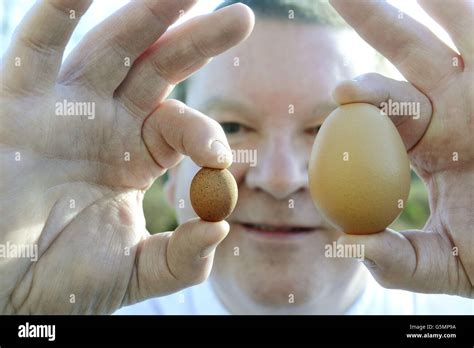 Worlds Smallest Bird Egg