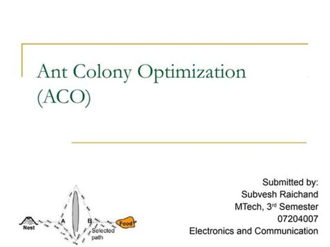 Classification With Ant Colony Optimization Pdf Beekeeping Hobbies And Interests