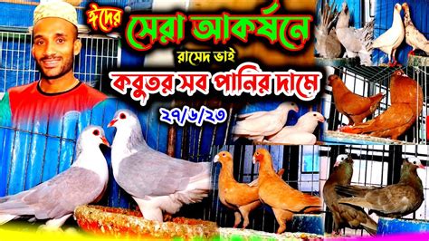 ঈদের জমজমাট কালেকশনে রাসেদ ভাই খুবই সীমিত দামে কবুতর কিনুন খামার থেকে