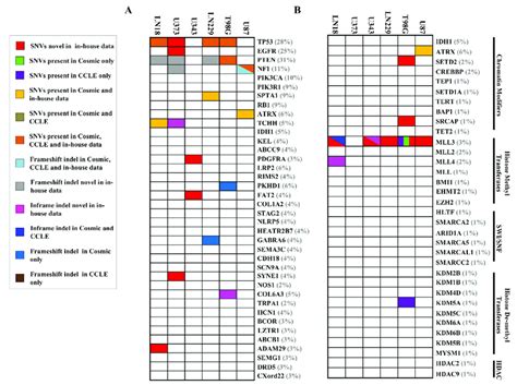 Mutation Spectrum For Most Commonly Mutated Genes And Chromatin
