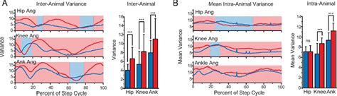 Reduced High Frequency Motor Neuron Firing Emg Fractionation And Gait