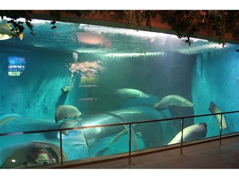 神戸市立須磨海浜水族園（兵庫県） 【ロケ地 検索】全国ロケーションデータベース