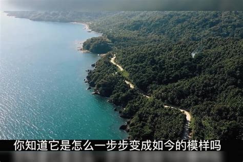 6分钟看完地球46亿年发展史，颠覆你的认知，人类是有多幸运