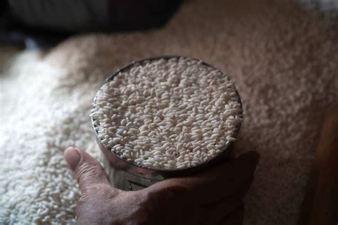 Ecuador exportará 104 000 toneladas de arroz a Colombia en dos tramos