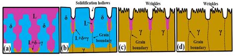 Schematic Diagram Of The Surface Solidifying Process For Download Scientific Diagram