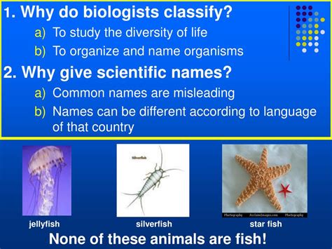 Ppt Why Classify Early Classification Systems 6 Kingdom Classification System Powerpoint
