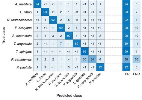 Species Level Percentage Confusion Matrix For The Lcn Mlp Model