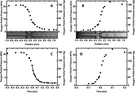 Oxygen Partial Pressure Po 2 As Determined By Rtdp Fluorescence