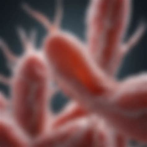 Synthesis And Regulation Of Type Iii Collagen