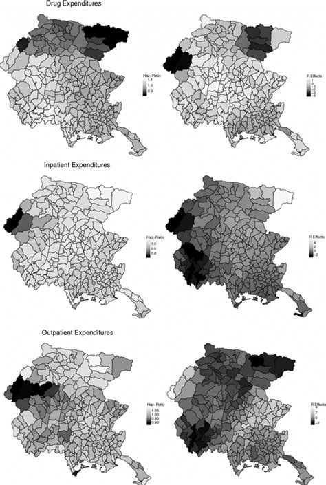 Estimated Spatial Diffusion Processes For The Selection And Outcome Download Scientific Diagram