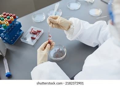 1 618 Chemistry Lab Side View Images Stock Photos Vectors Shutterstock