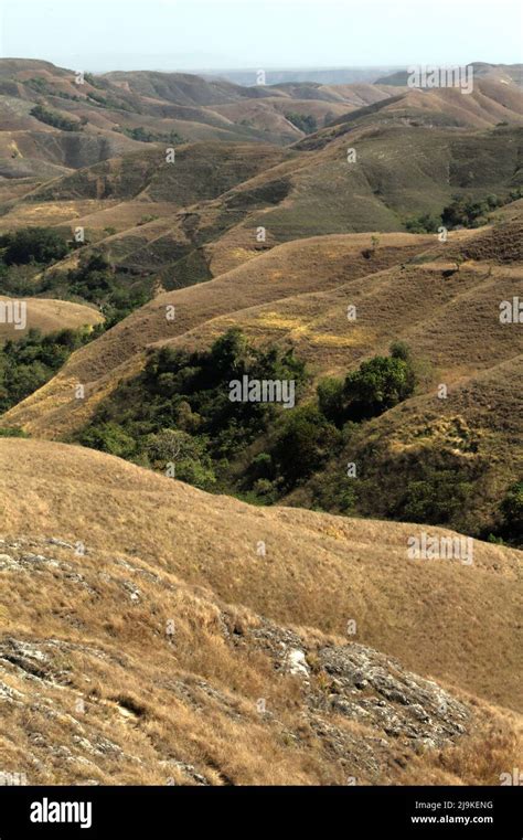 Dry Grassland On Hilly Landscape During Dry Season On Wairinding Hill