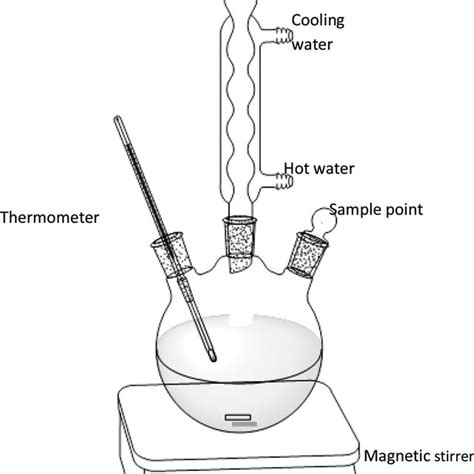 Experimental Setup For The Esterification Process Download