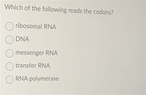 Solved Which Of The Following Reads The Codons Ribosomal Chegg