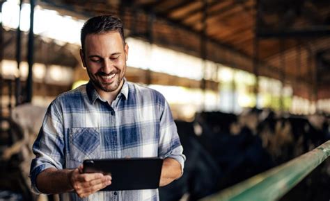 How To Implement ERP Software TurningPoint Systems
