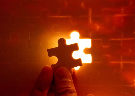 The Missing Links Hummingbird