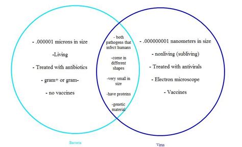 7 Structural Differences Between Bacteria And Virus Comparison Chart Images And Photos Finder
