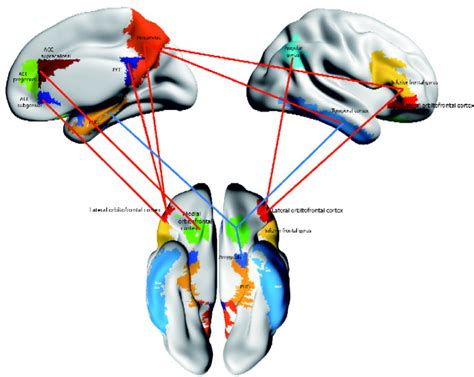 The Orbitofrontal Cortex Reward Emotion And Depression Pmc