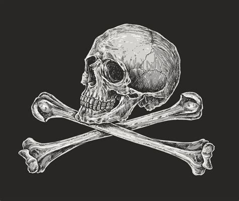 Skull And Crossbones Drawing Illustration 18822852 Vector Art At Vecteezy