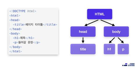 Html Css 1~5 100일 코딩 챌린지 Web Development 부트캠프 Html Css 1~5 100일 코딩 챌린지 Web Development 부트캠프