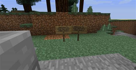 Server Spawn Minecraft Map Server Spawn Minecraft Map