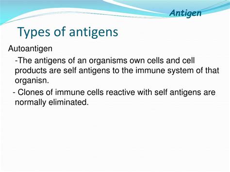 Ppt Antigen Powerpoint Presentation Free Download Id 5475074