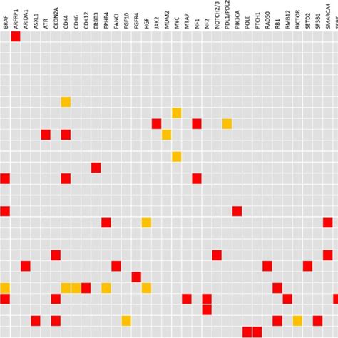 A Co Mutational Profile Of Met Exon 14 Altered Met Mutated Patient 2