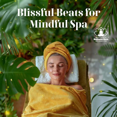 Soft Robe Rhythms Mindfulness Meditation Music Spa Maestro 单曲 网易云音乐