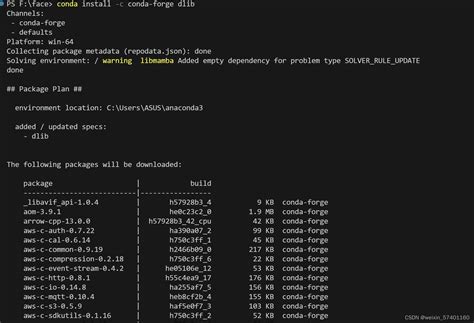 Pip Install Facerecognition 报错pip Install Recognition Csdn博客