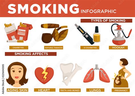 Smoking Infographic Types And Affect On Body Vector Stock Vector Adobe Stock