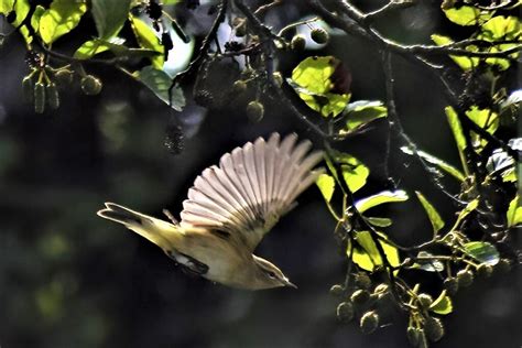 Home Articles Melanie Benn