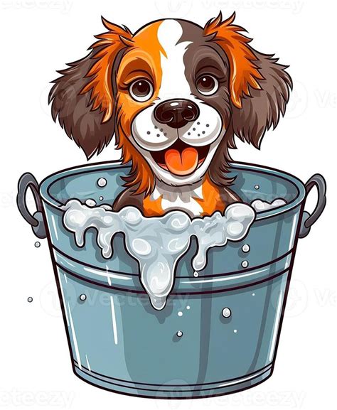 Perro Tomando Bañera En Un Metálico Cubeta Aislado En Blanco