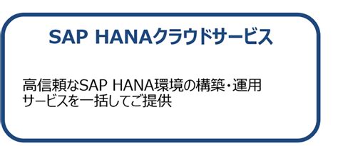 Erpコア拡張サービス For Sapソリューション：sap® ソリューション：製品・ソリューション：製造業・流通業向けソリューション：日立