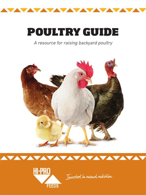 Backyard Poultry Guide Us Feb 2017 Pdf Chicken Poultry Farming