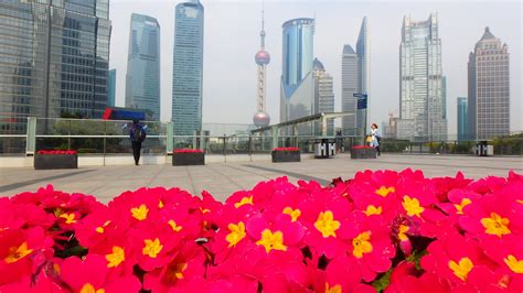 Img 8285 1 ｜絶景in 海外旅行記