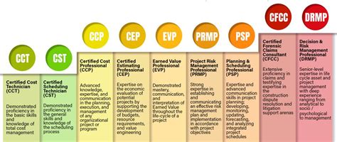 Aace Region 9 Europe And Africa On Linkedin 📢 A Call To All Project Control Professionals 🎤 Aace