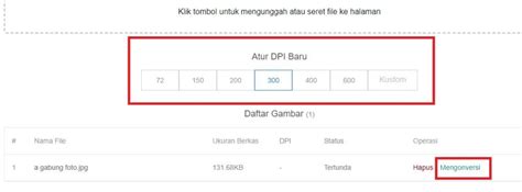 Cara Mengubah Resolusi Foto Menjadi 300 Dpi Online Neicy Techno
