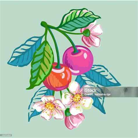 벡터 손으로 그린 그림 와 가지 와 빨간 열매 꽃 와 잎 와 배경 고립된 컬러 스케치 스타일의 일러스트레이션 고풍스런에 대한