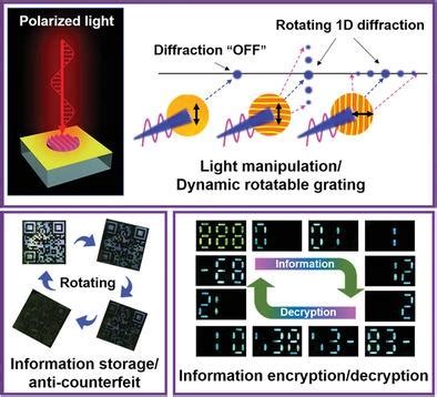 Light Induced In Situ Dynamic Ordered Wrinkling With Arbitrarily