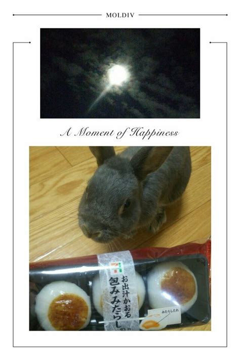 十五夜お月さま マイペース日記・・・・´∀`