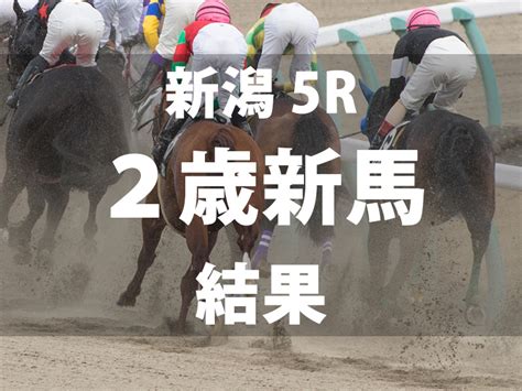 スワッガー競走馬2022年産 成績｜地方競馬予想のウマニティ