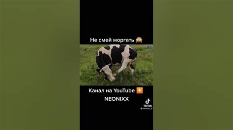 Фреди фнаф 9 Youtube